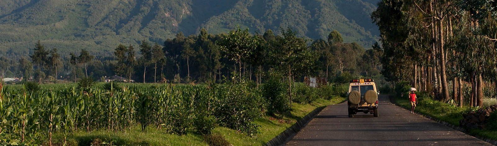 How to get there to volcanoes park | Volcanoes National Park Rwanda