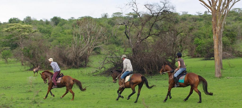 2 days horseback riding in Lake Mburo National Park | Uganda Safaris