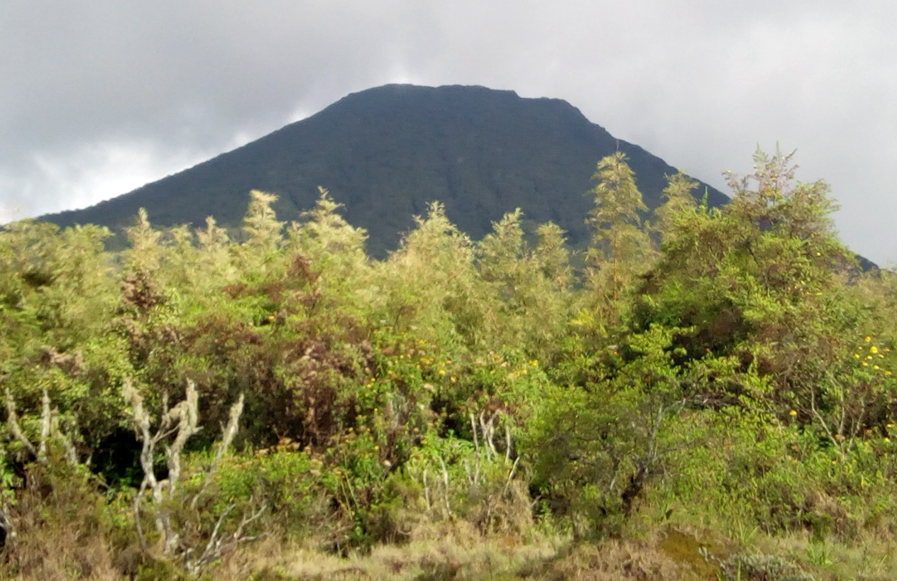 Virunga Mountains in Uganda | Uganda Safaris Tours | Uganda Tours