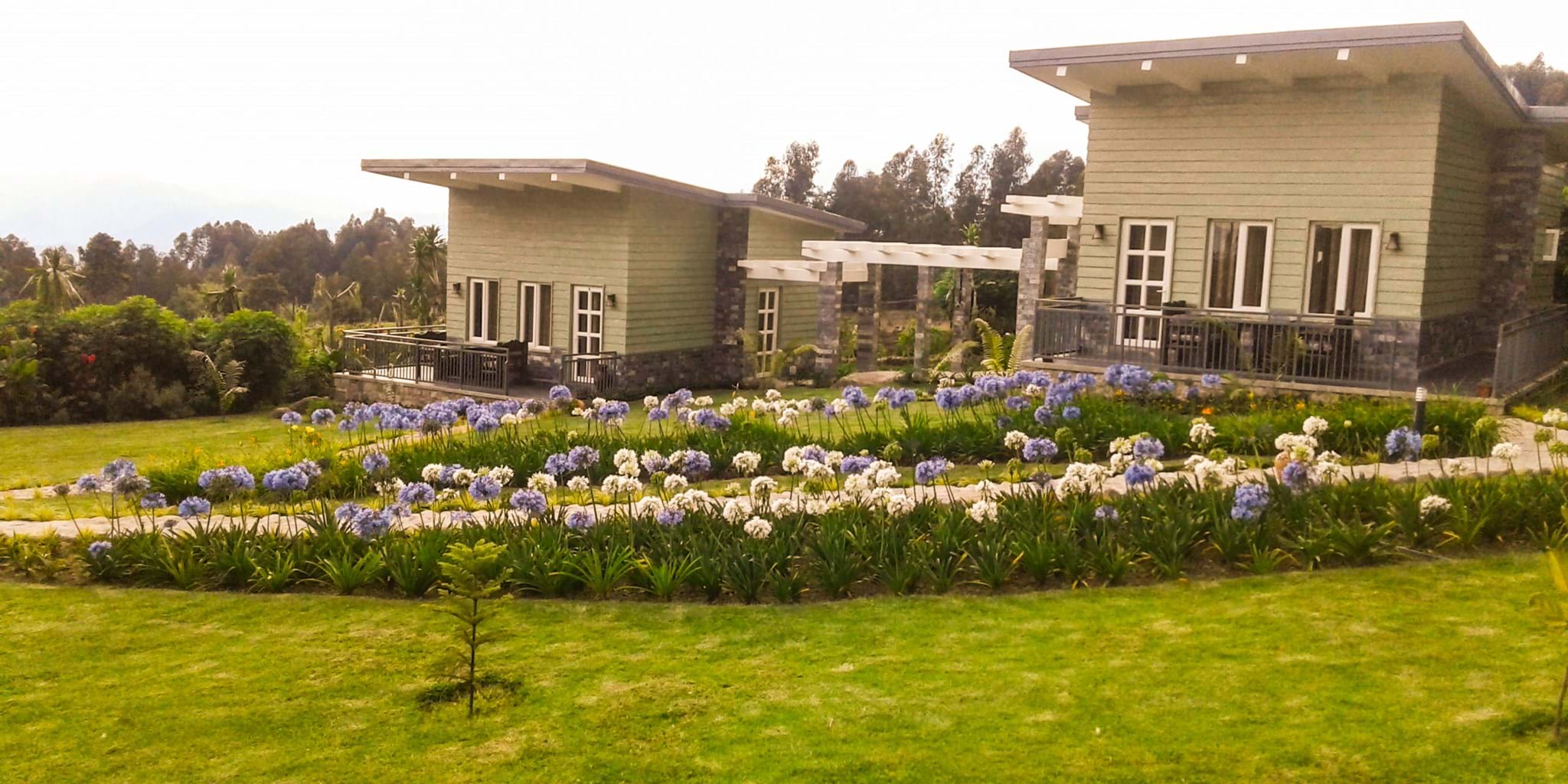 Amakoro Songa Lodge | Volcanoes National park | Gorilla trekking Tours