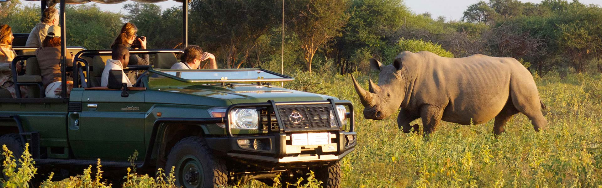 How To Enjoy A Safari To Rwanda While On Budget | Rwanda Safaris
