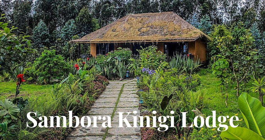 Sambora Kinigi lodge | Volcanoes national park | Rwanda Safaris Tours